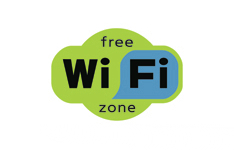 Gatchina Palace and Estate Museum